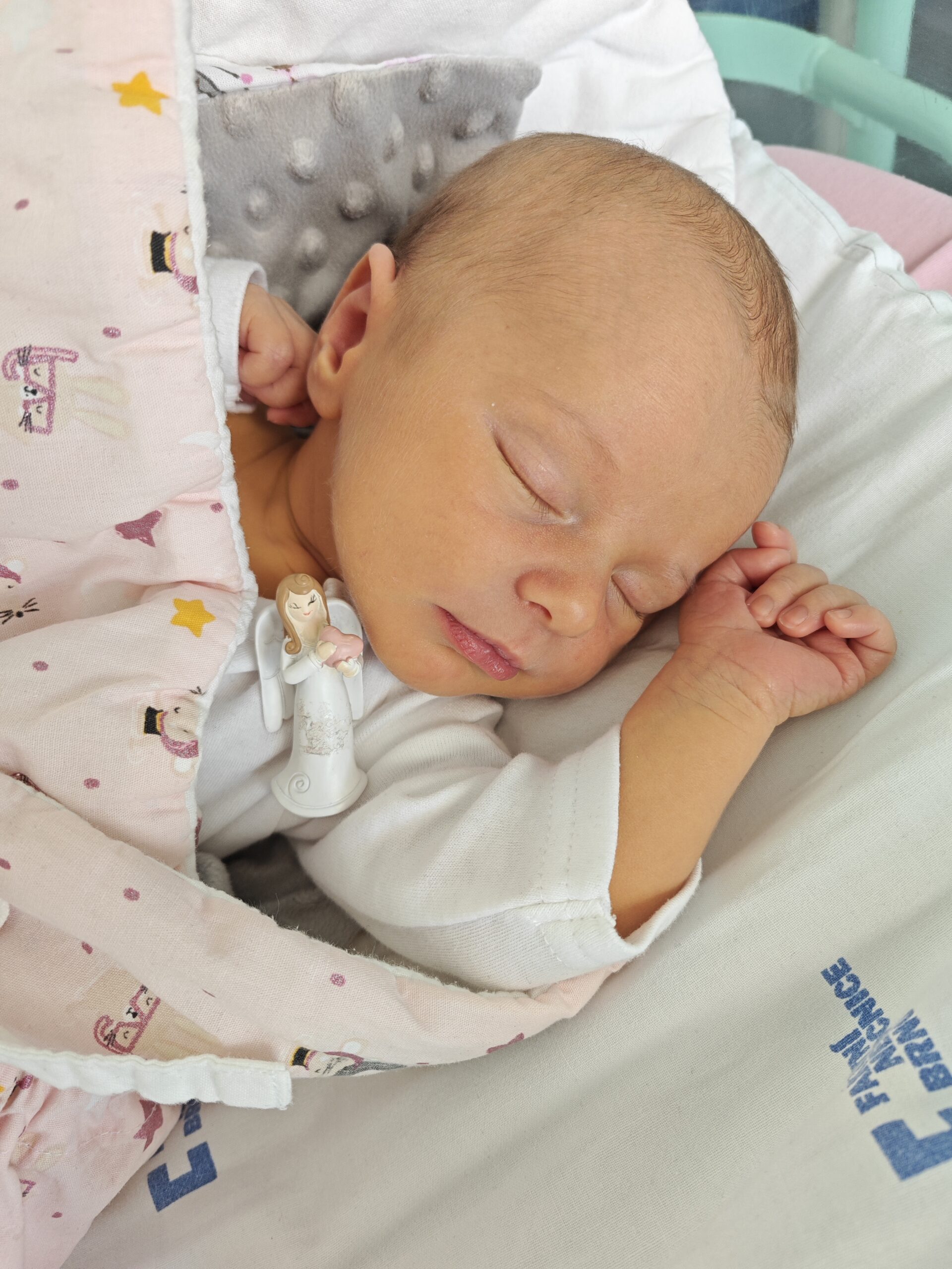 Viktorka | Repromeda